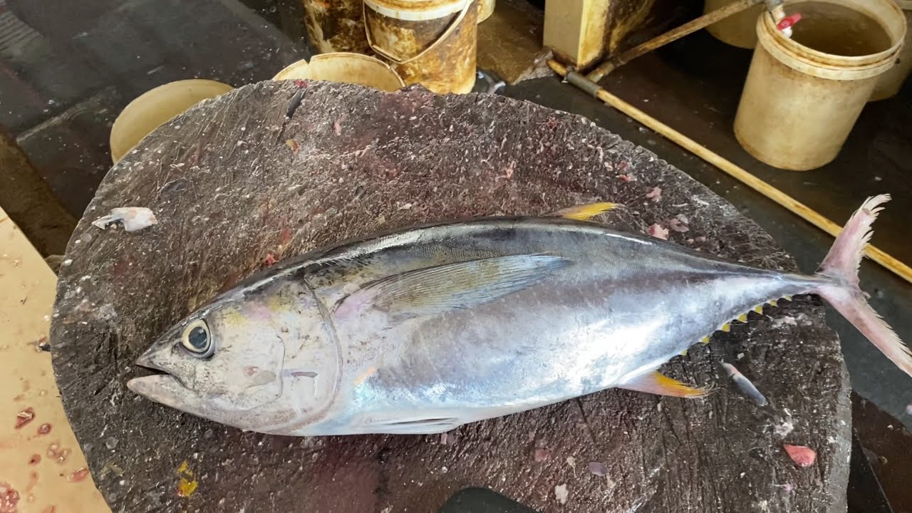 FAST TUNA FISH CUTTING IN TRADITIONAL FISH MARKET || EXTREME FISH ...