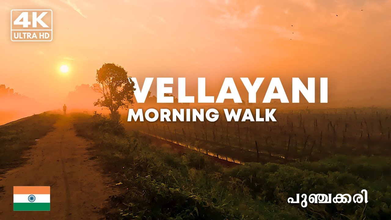 Kerala Village Walk in 4K | Trivandrum Morning Walk | Punchakkari ...