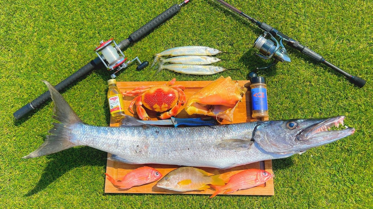 Barracuda Catch n' Cook with Coral Crab, Conch, Snapper and ...