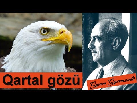 Qartal gözü - Qasım Qasımzadənin şeiri