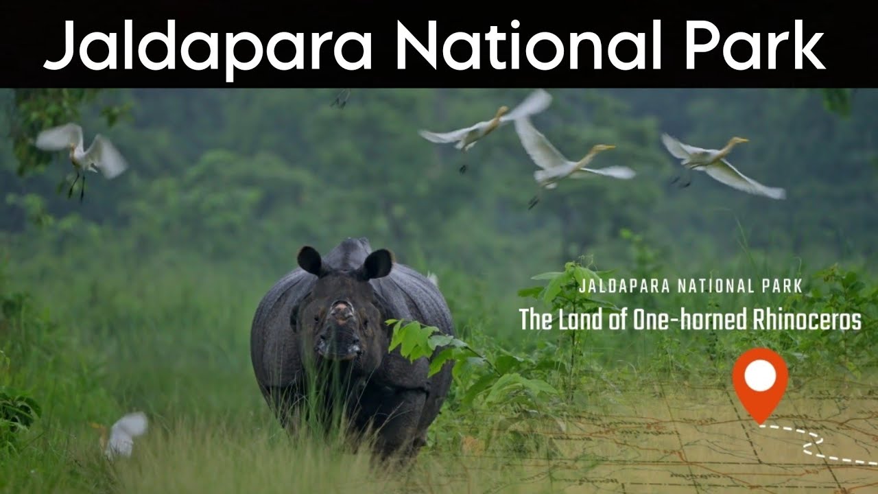 Jaldapara National Park - Jungle Safari | Everest Resort - Bengal ka ...