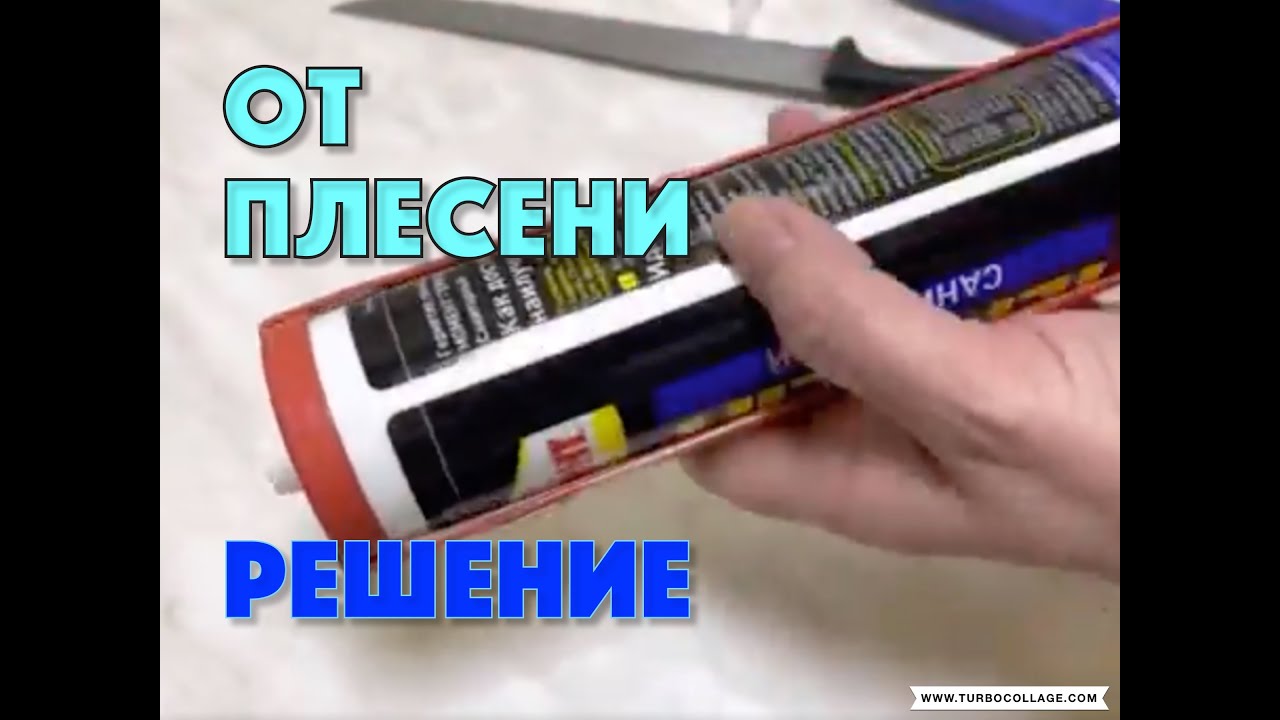 ОТ ПЛЕСЕНИ ПРОСТОЕ РЕШЕНИЕ - YouTube