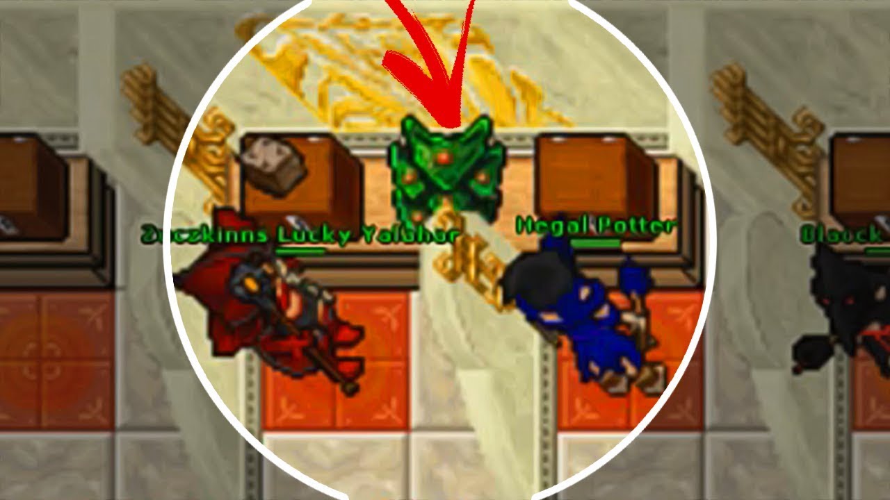 Tibia | APOSTÉ mi GREAT SHIELD y PASA ESTO... :v - Hegal - YouTube