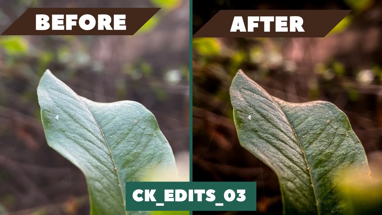 LEAF PHOTO EDITING || ADOBE LIGHTROOM || CK_EDITS_03 - YouTube