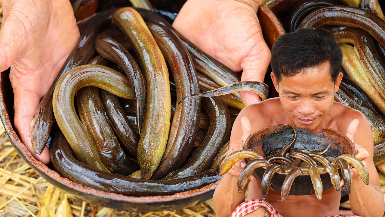 Yummy Eating EELs Soup | Village Cooking - YouTube