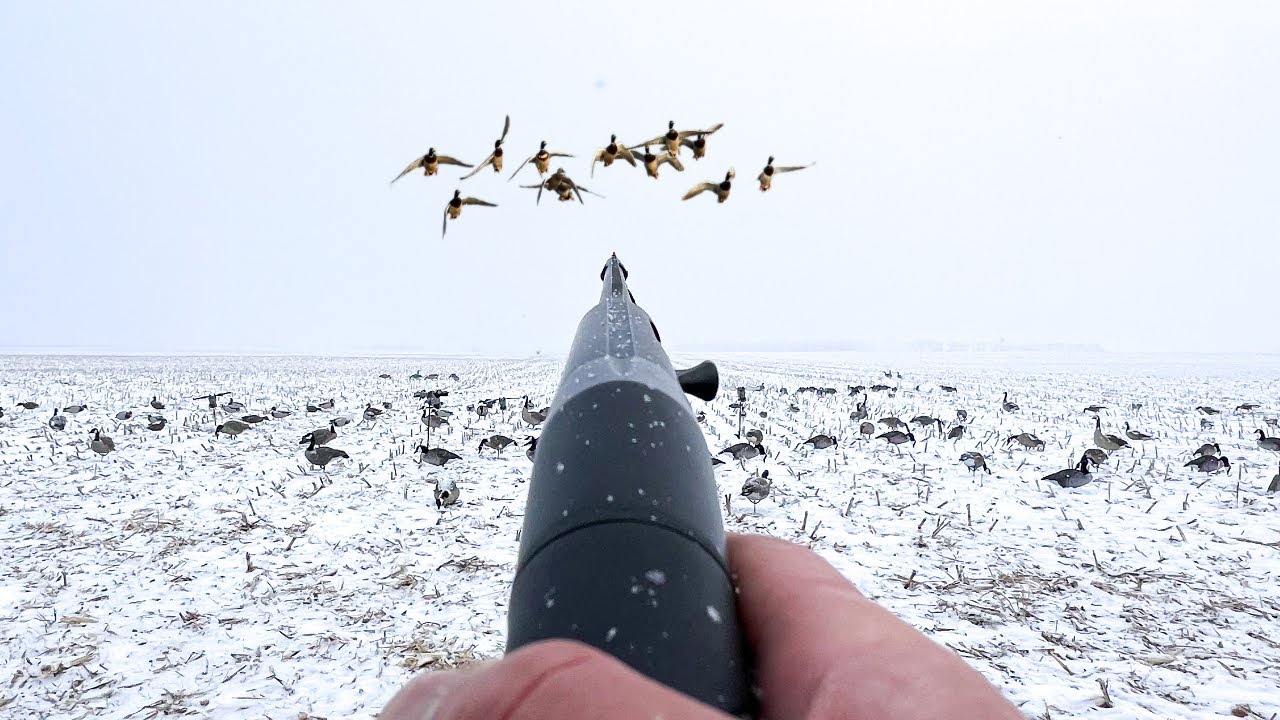 DUCK HUNTING Late Season Mallards in The Snow! (LIMITED OUT) - YouTube