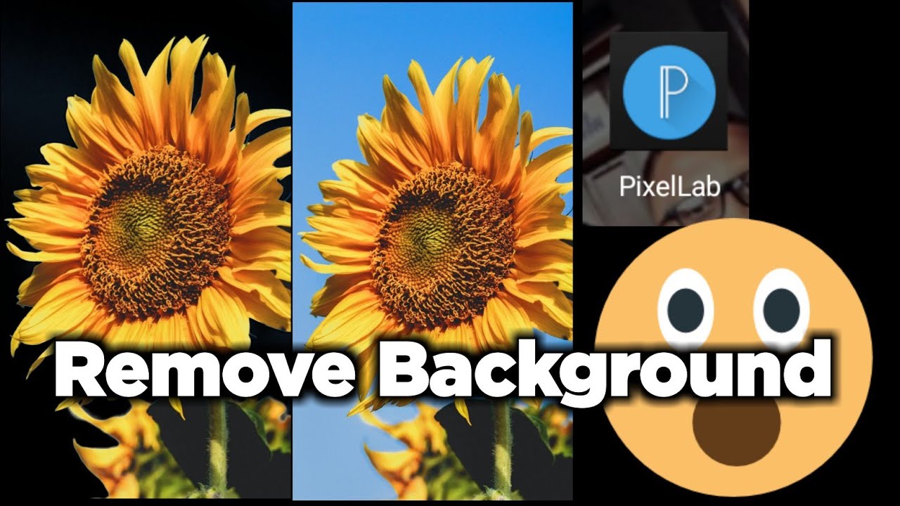 How To Remove Background Pixellab Tutorials YouTube How To Remove Background Pixellab Tutorials YouTube