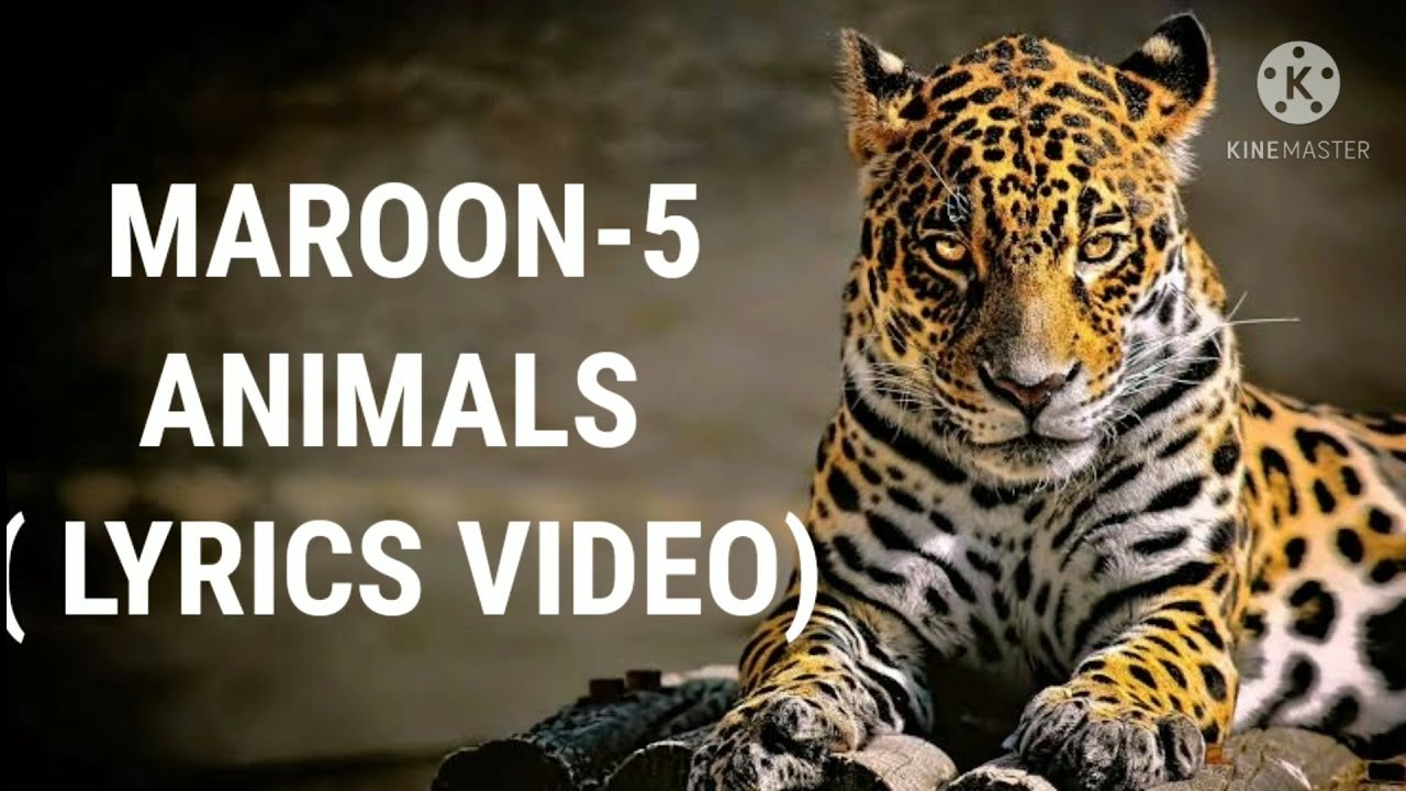 Maroon-5 Animals ( lyrics video) - YouTube