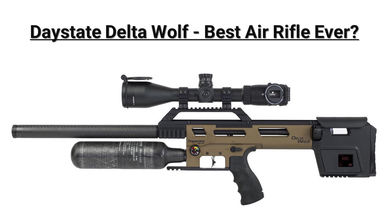 Best Air Rifle Ever? The Daystate Delta Wolf. Extensive demonstration ...