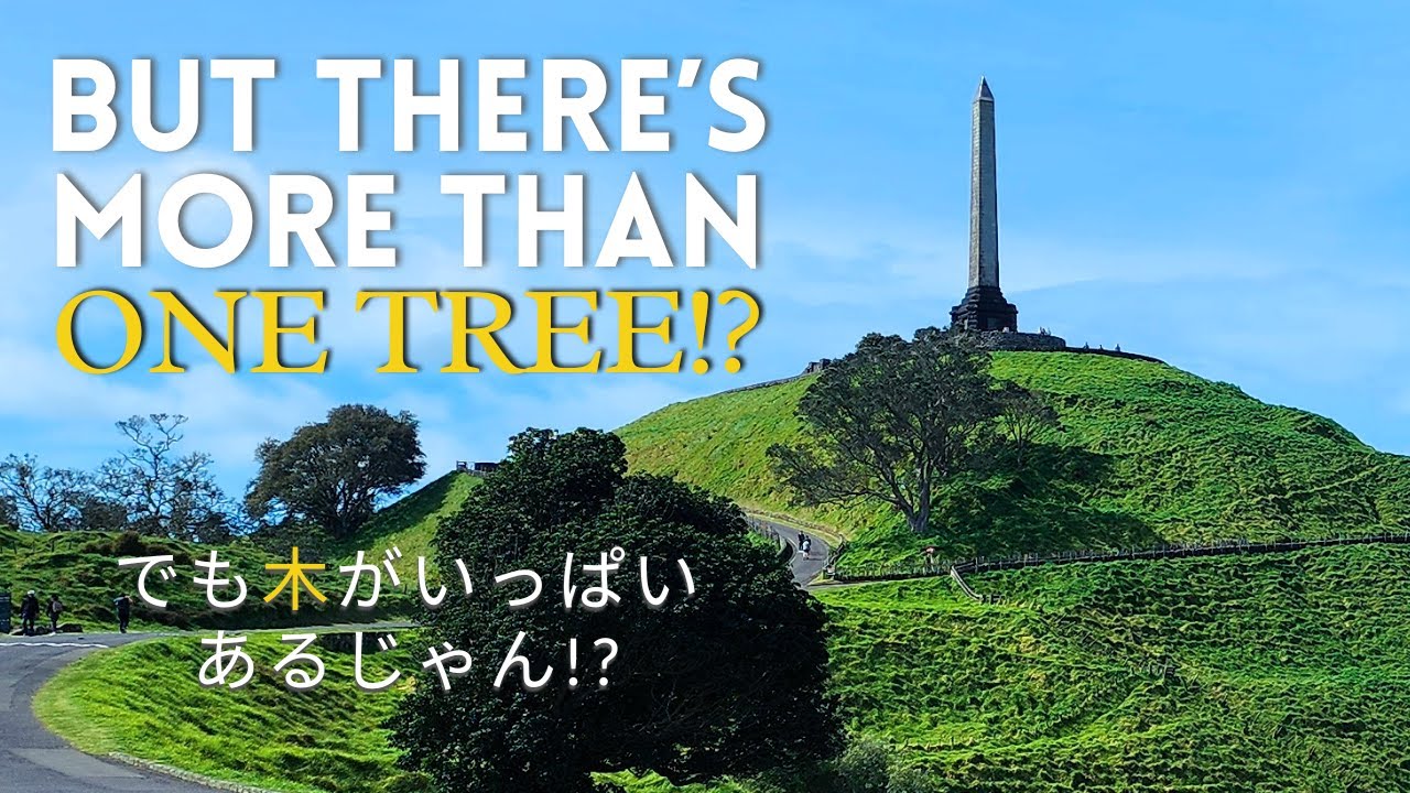 How many trees are there? One Tree Hill and Cornwall Park - YouTube