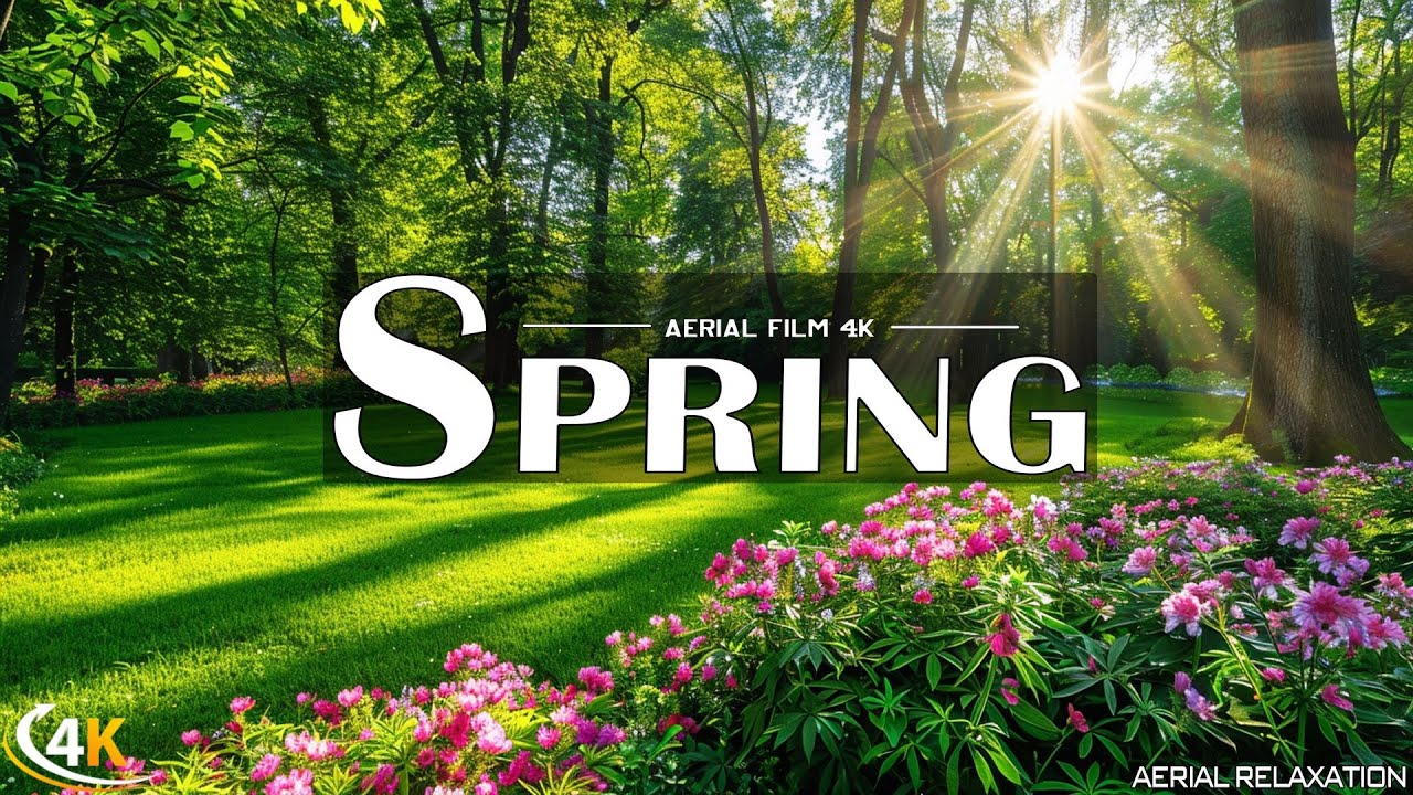 🌿ENCHANTING SPRING FORESTS 🌻Begin Your Day with the POSITIVE ENERGY of ...