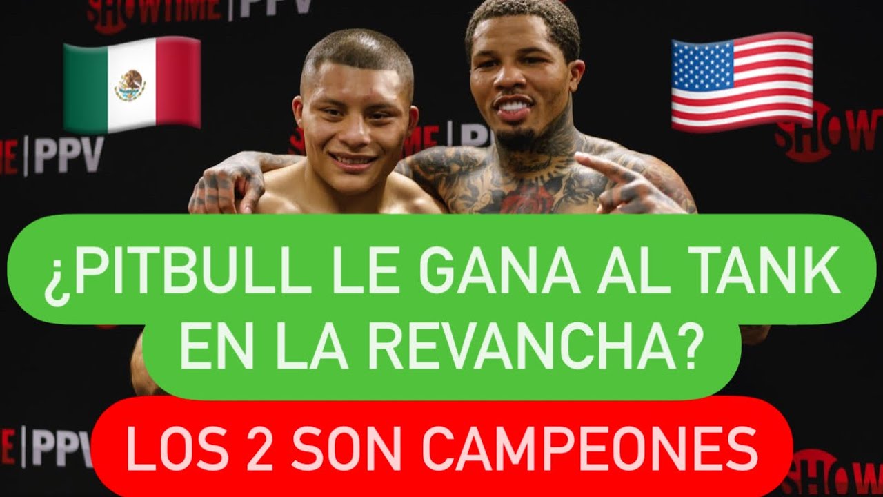 ¿PITBULL CRUZ AHORA SÍ LE GANA AL TANK GERVONTA DAVIS? #pitbullcruz ...
