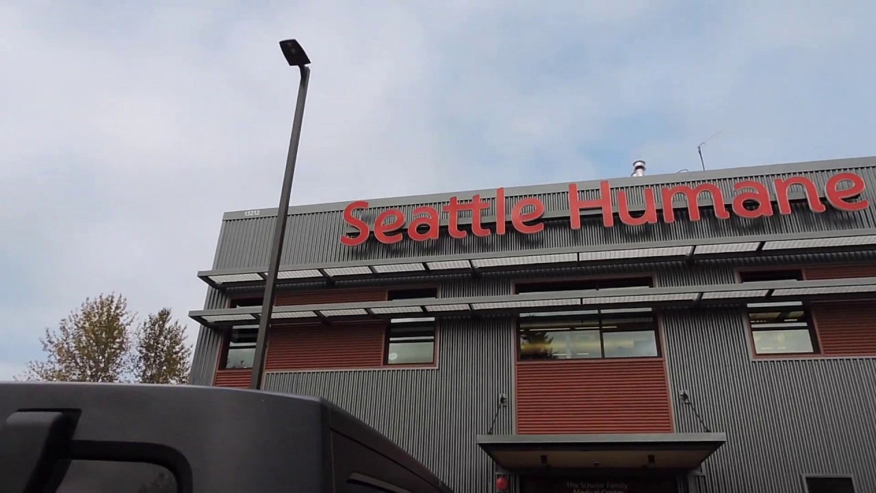 Seattle Humane Society - YouTube