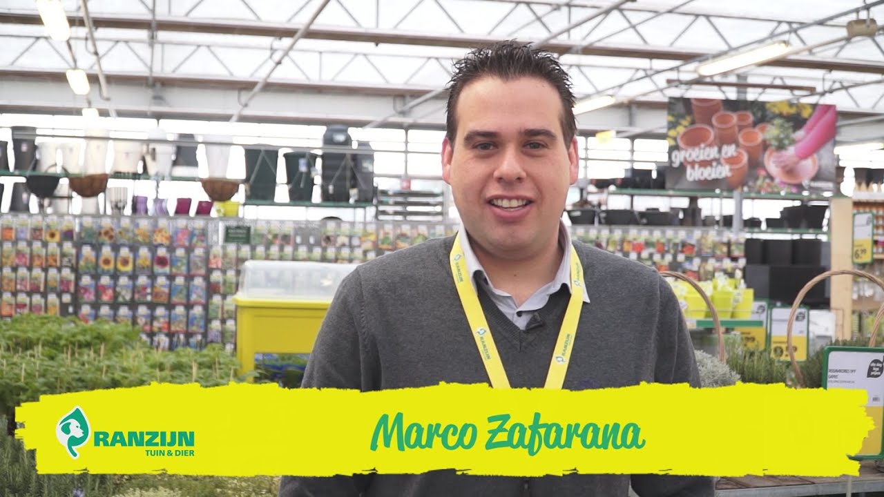 Ranzijn tuin & dier Bovenkarspel - YouTube