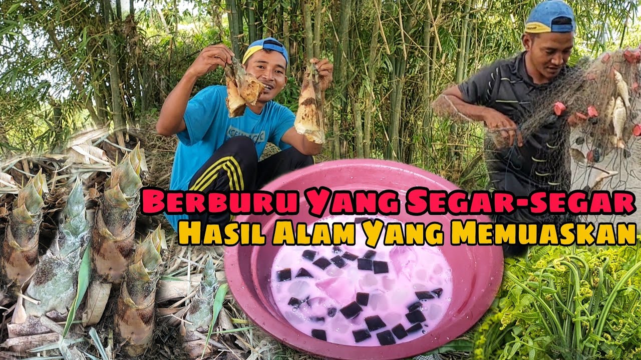 Berburu Yang Segar-segar langsung dari alam || Hujan deras, petir ...