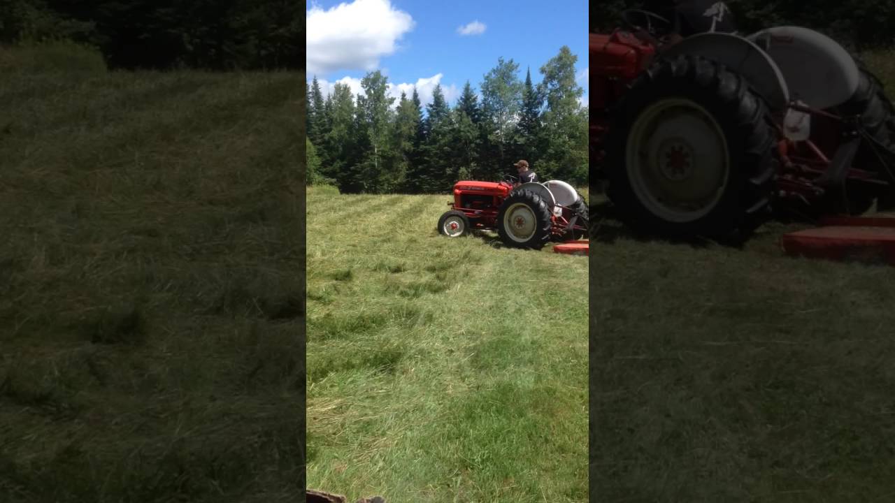 Bush hogging with Ford 661 Workmaster - YouTube