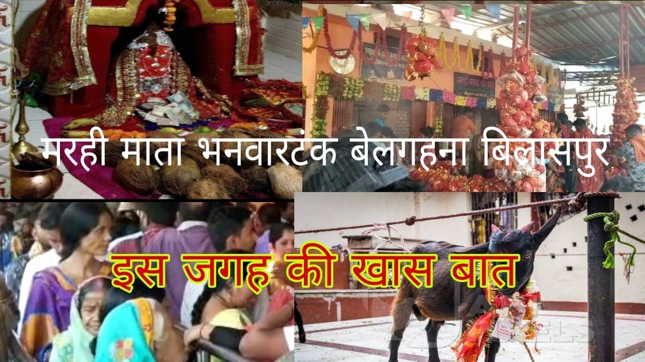 marhi Mata bhanwartank belgahana Bilaspur #Chhattisgarh #marhi mata ‼️ ...