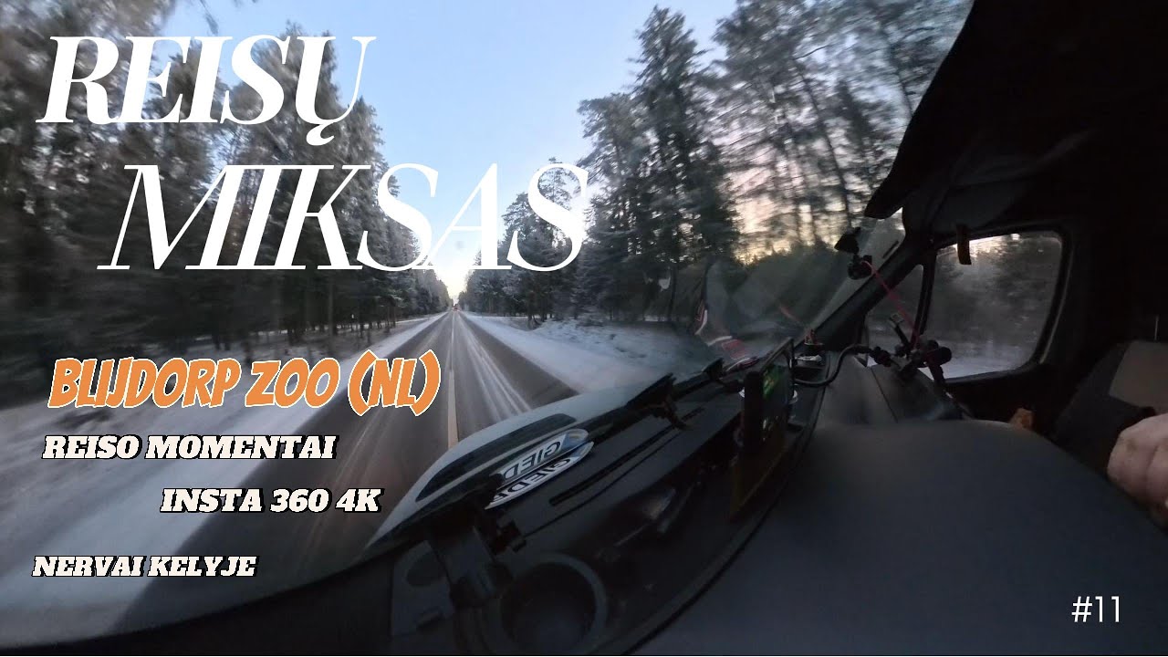 Reiso dienoraštis: Blijdorp zoo, Insta 360, nervai kelyje # ...