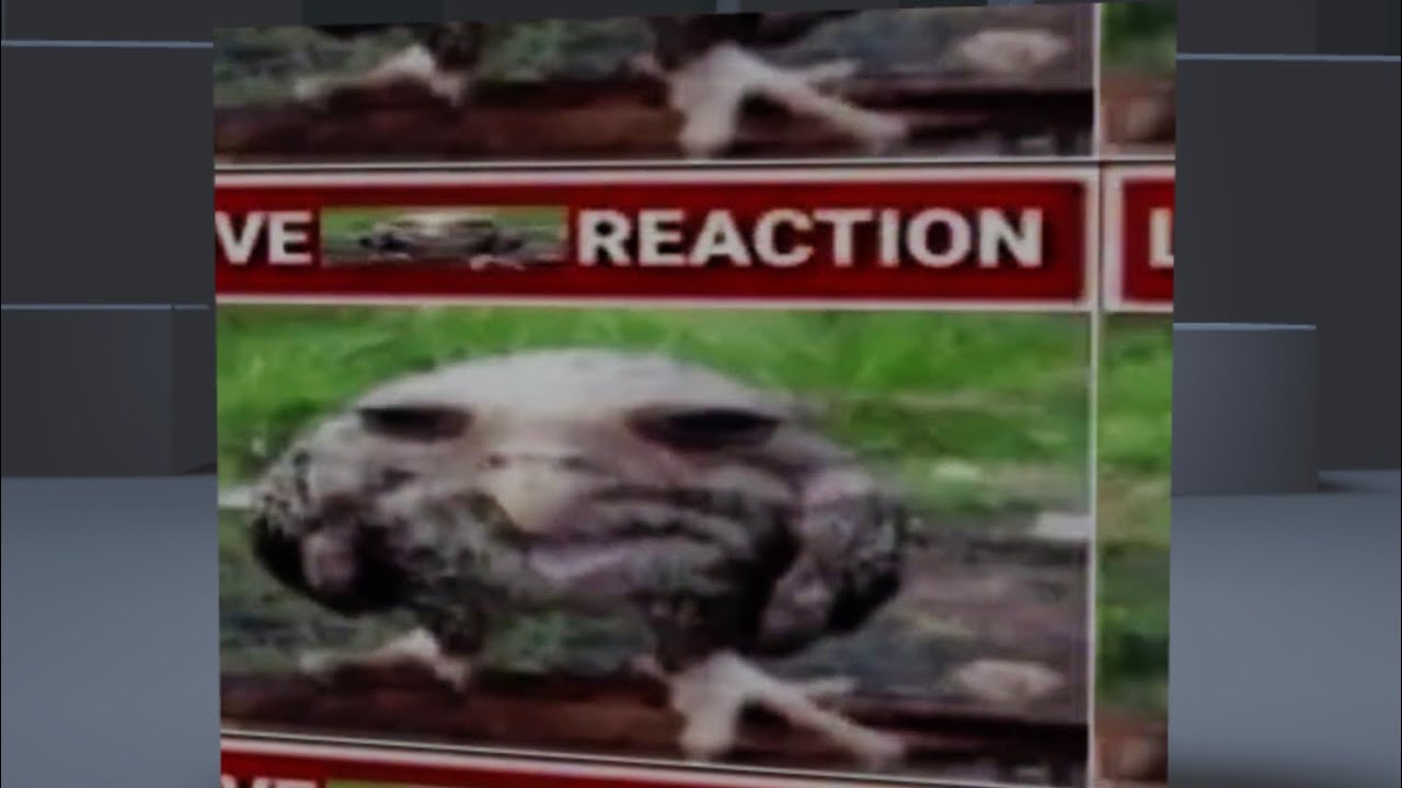 how to make a GOOFY wet owl box outfit (Roblox) (WARNING: not cheap ...