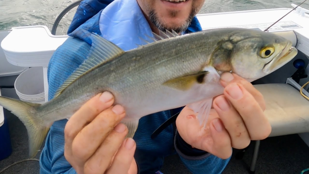 Fishing the Dawesville Cut, West Oz. Ep. 9 “ Comp on” CATCH AND COOK ...