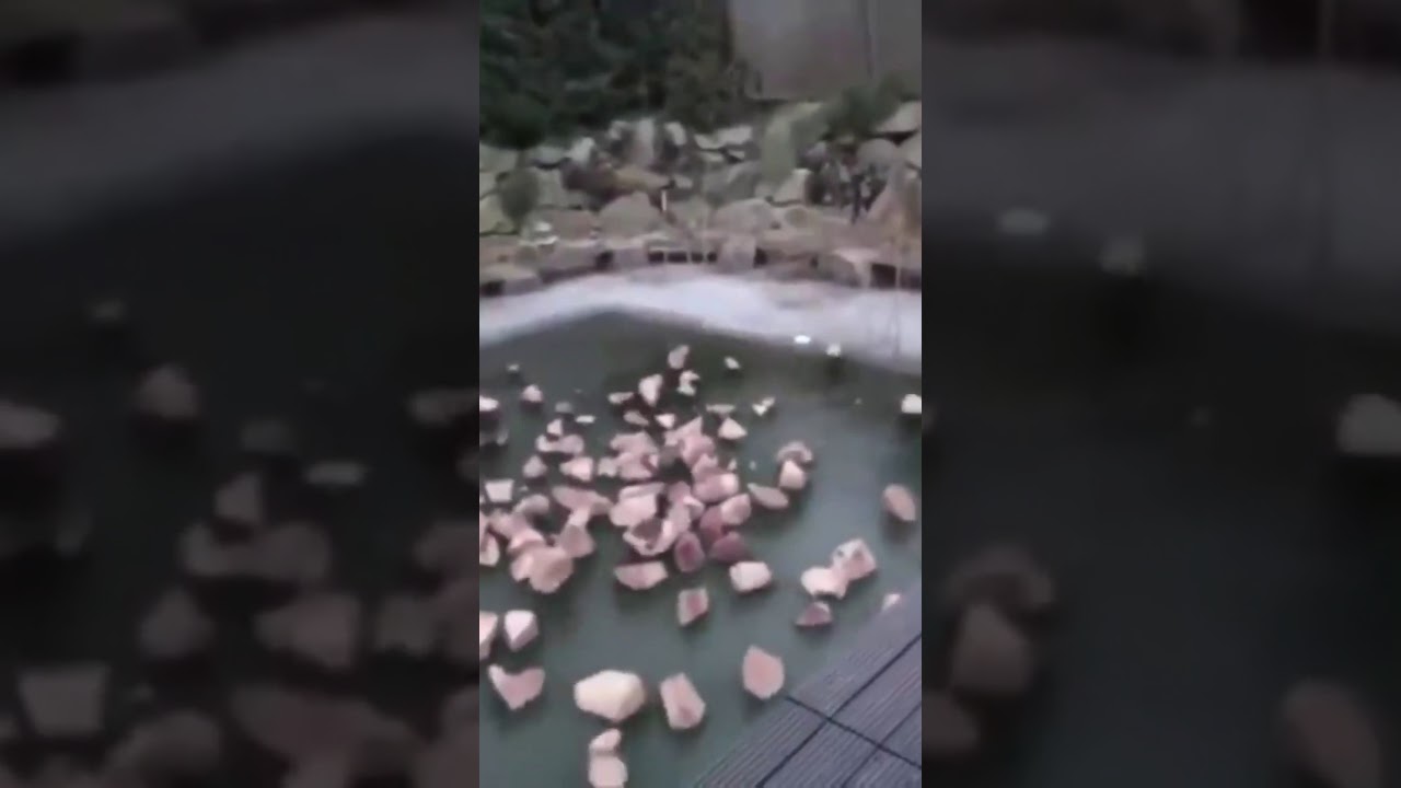 Catch The Ice Dude Breaks! - YouTube