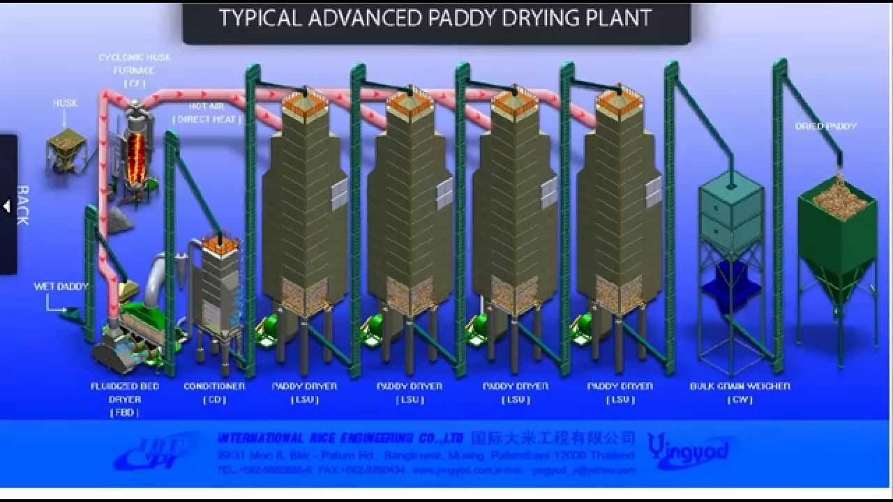 PARBOILING PLANT SYSTEM - YouTube