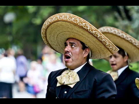 DWTD (Main Cast Introduction): Character Sombrero Edition - YouTube