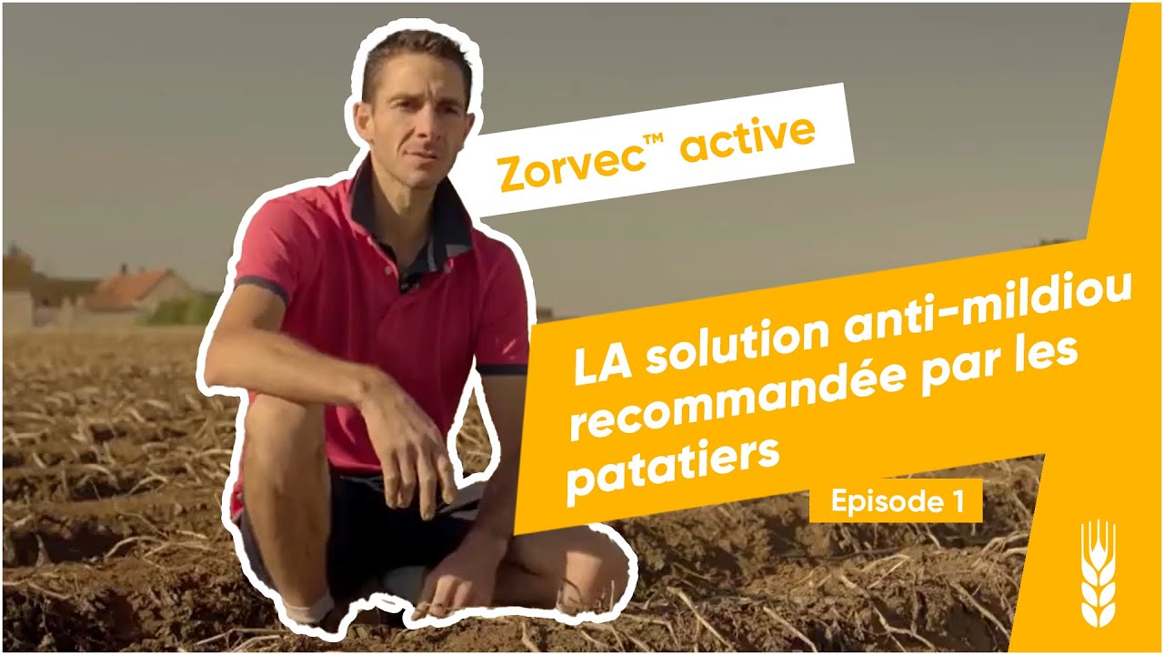 Zorvec™ active : LA solution anti-mildiou recommandée par les patatiers ...