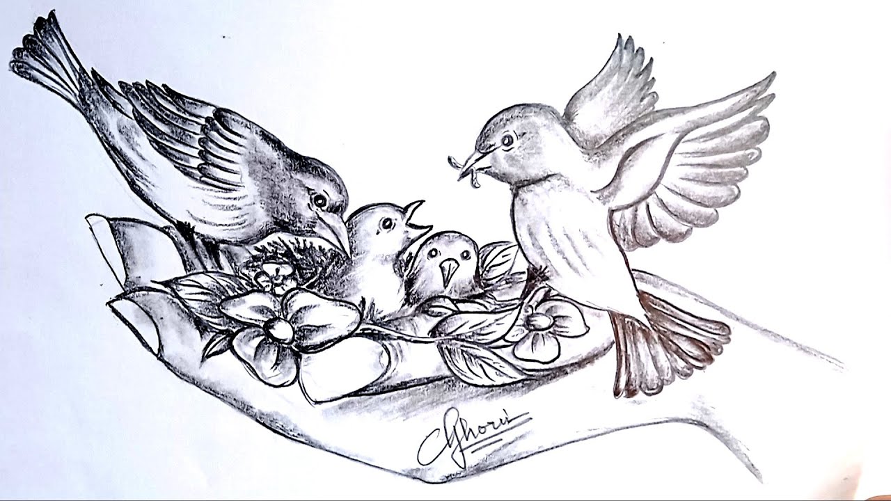 How To Draw Bird Family On Hand || Bird Family Drawing || # ...