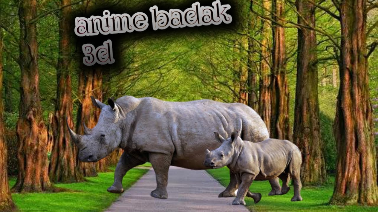 badak berjalan/kartun animasi anak Indonesia#animasi #kartun - YouTube