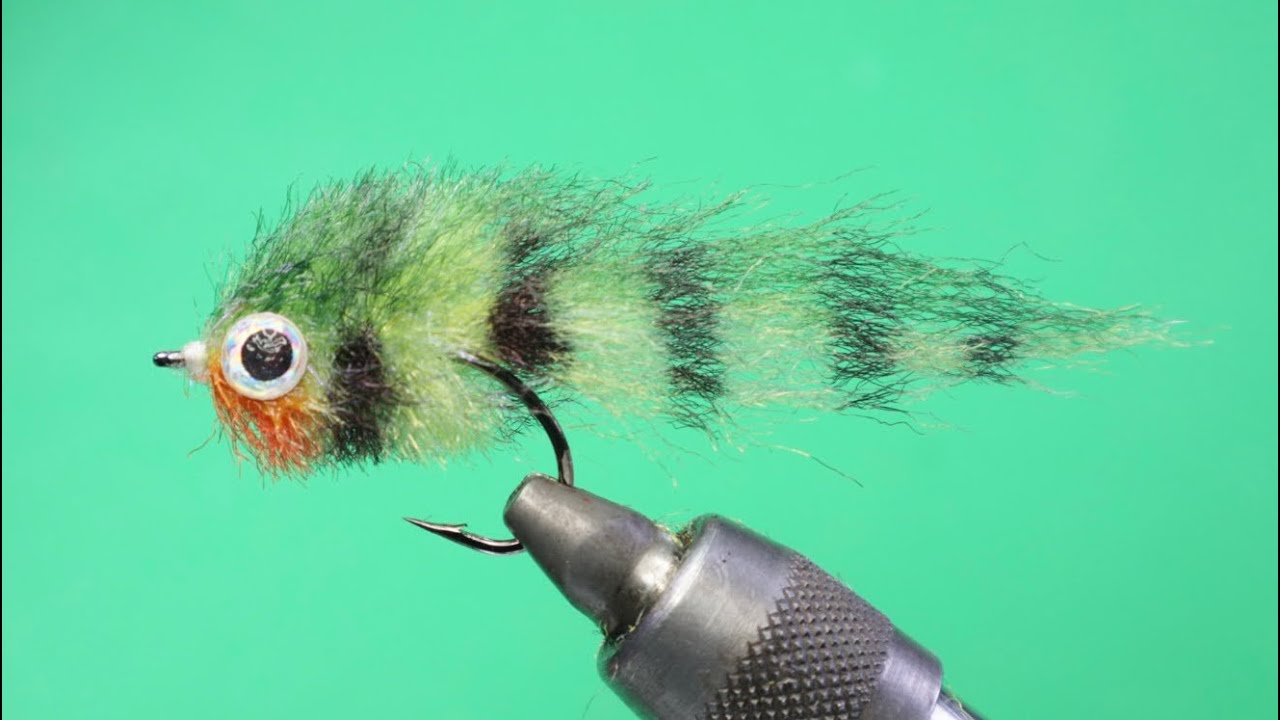 EP PERCH BAITFISH - FLY TYING TUTORIAL - YouTube