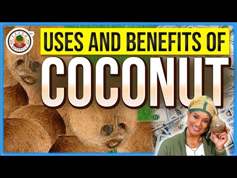 COCONUTS: How to Spiritually Use Coconuts | Yeyeo Botanica - YouTube
