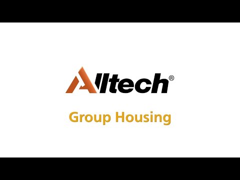 Managing Gestation Sows in Group Housing