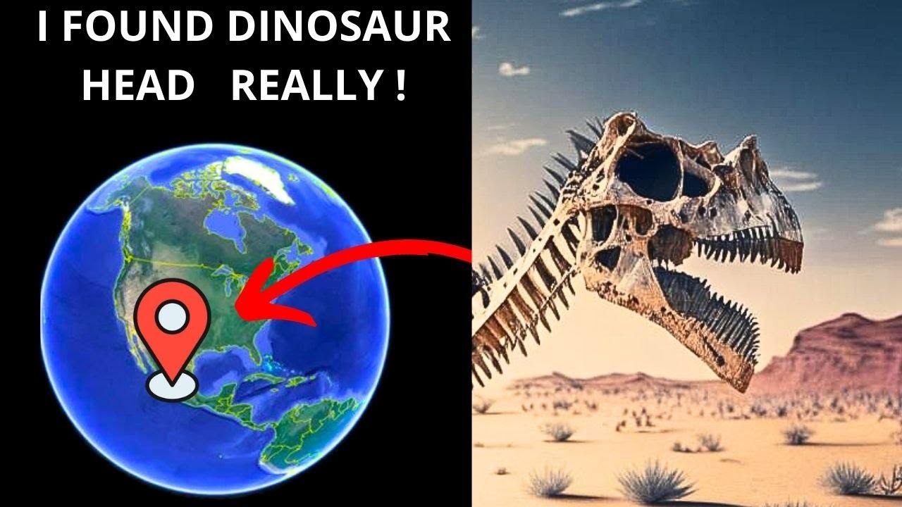 Unbelievable! I found a real dinosaur head! - YouTube