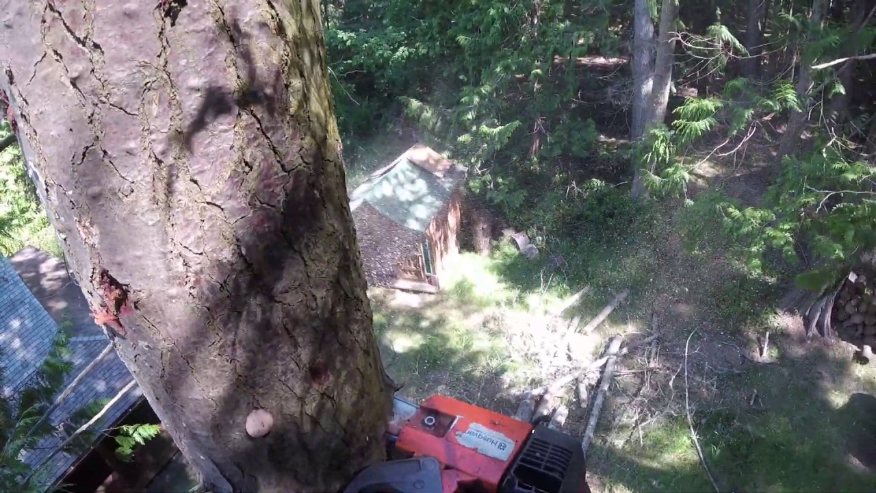 An Accidental Perfect Log Flip - YouTube