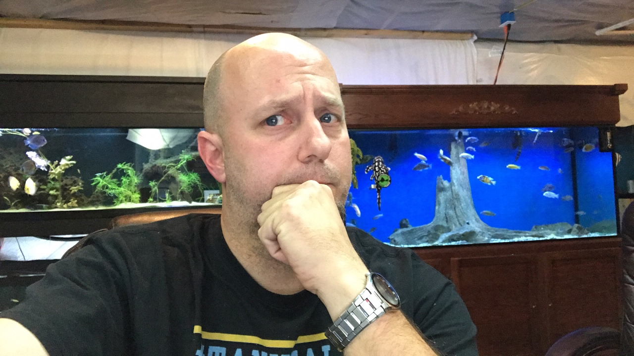 🔴 Are Water Changers Worth It? Tank Talk Live !!! - YouTube