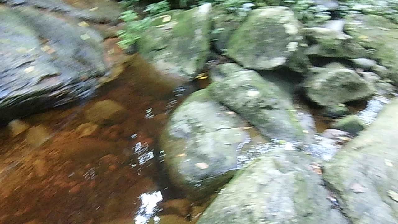 Poza Yaguarin - YouTube