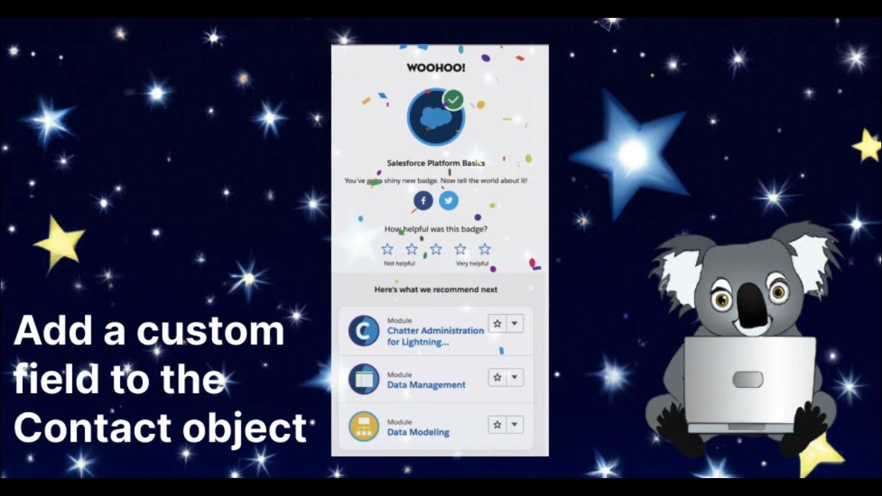 Add a custom field to the Contact object in Your Trailhead Playground - Hands On Challenge - YouTube