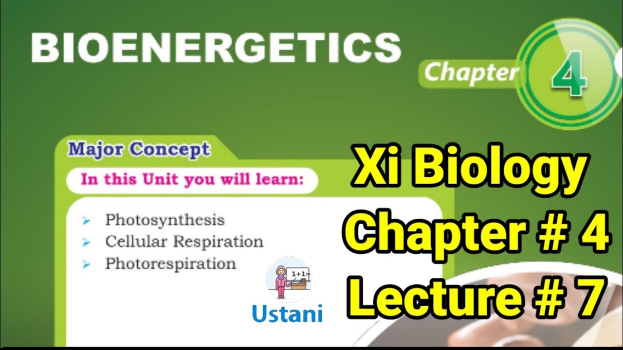Xi First Year (P. M)New biology book //Chapter #4 BIOENERGETICS Lecture ...