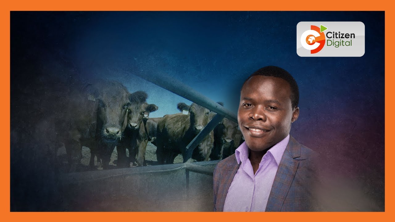 Senator Okech rewards his 1124 agents with cows - YouTube