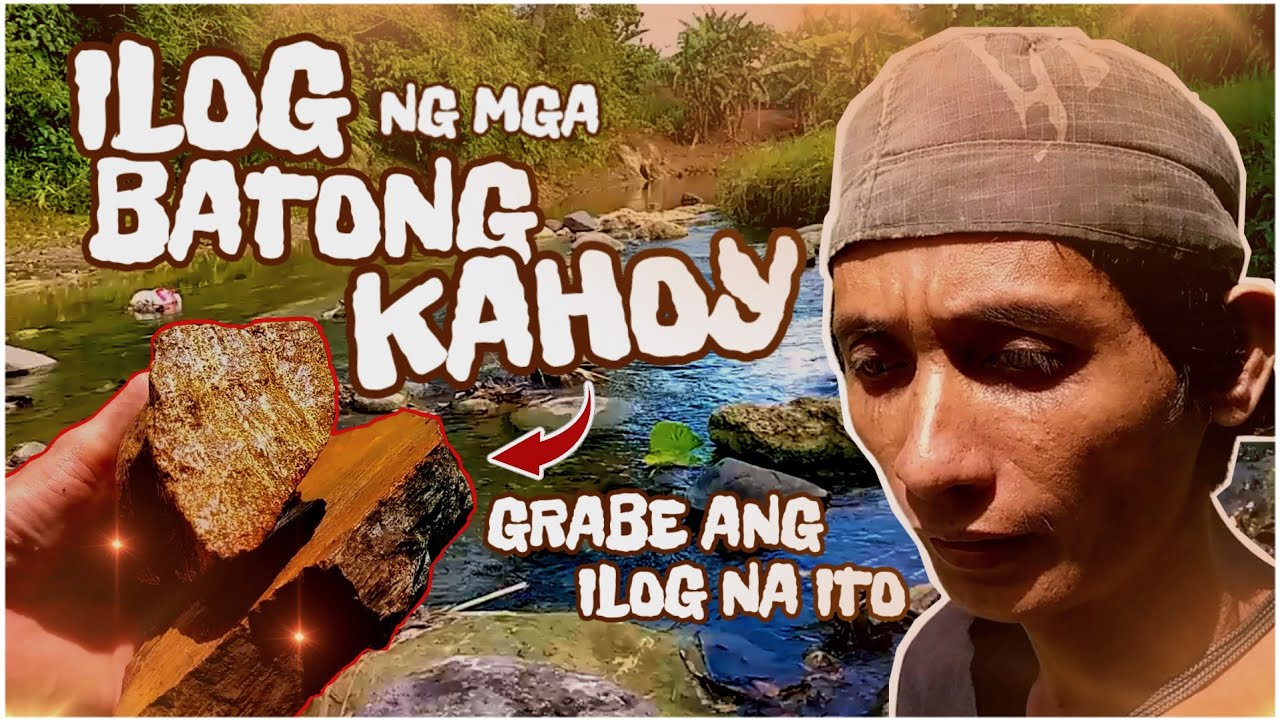 ILOG NG MGA BATONG KAHOY|ANG ILOG NA ITO AY MAYAMAN SA BATONG KAHOY ...