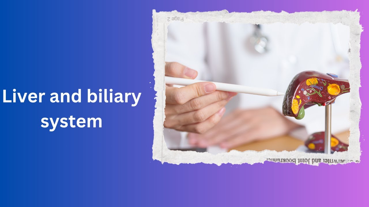 4 -(17) liver functions- excretory function of liver - YouTube