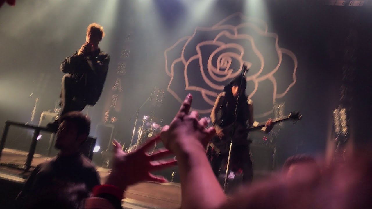 coldrain 『COLORBLIND』live fateless tour 大阪なんばHatch - YouTube