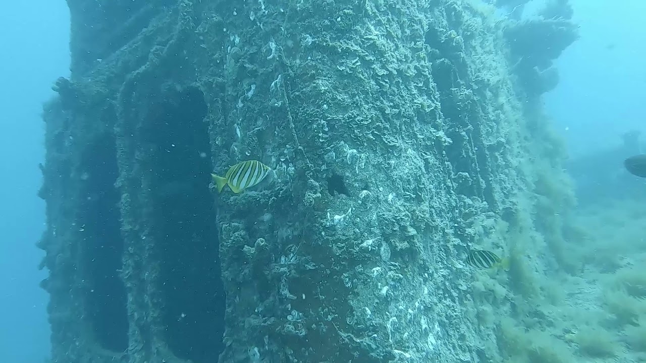 HMAS Swan Wreck Dive, WA - YouTube
