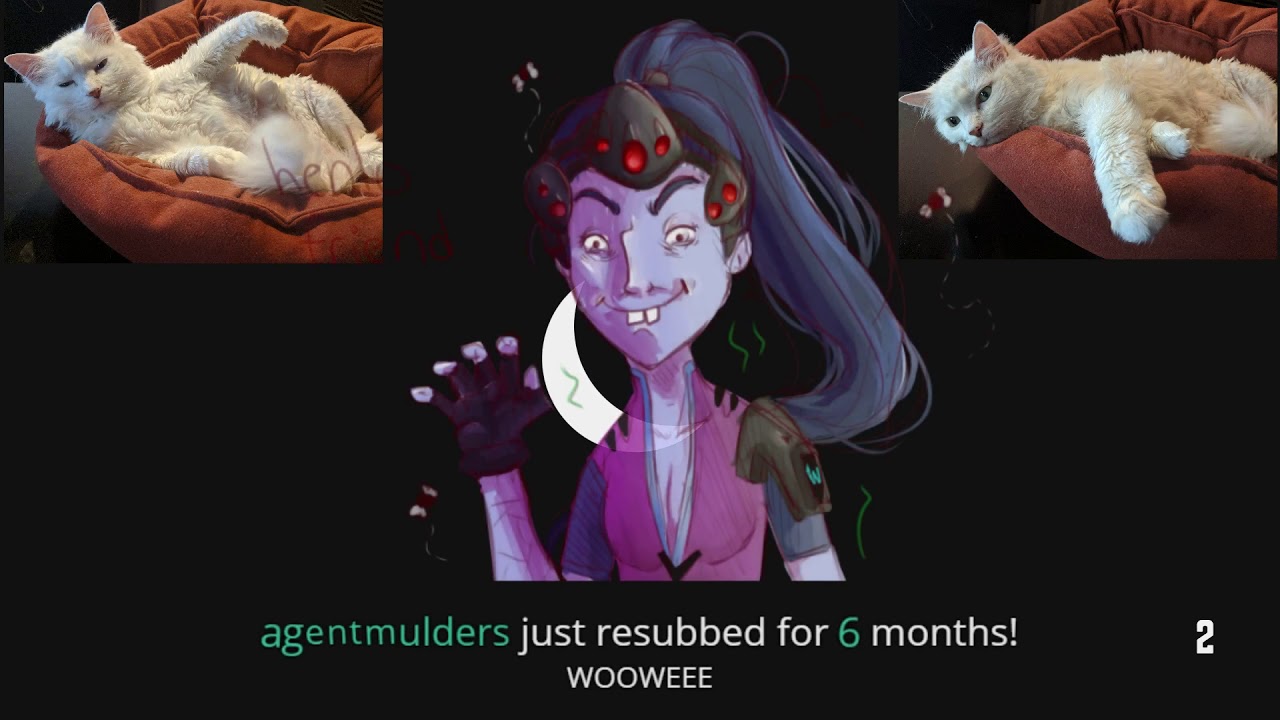 MOONMOON's Top Twitch Clips Compilation #8! - YouTube