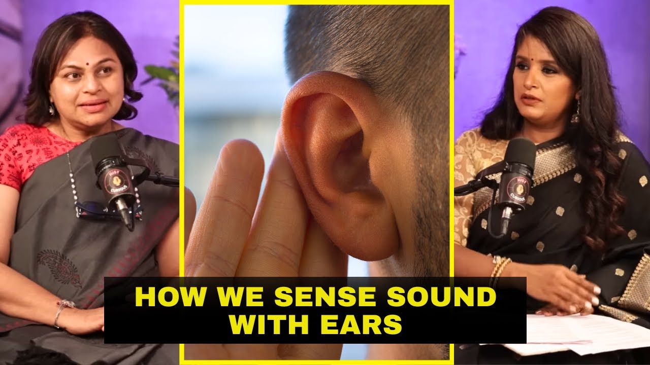 How Hearing Works: Role of Both Ears Science Explained | Just Curious ...