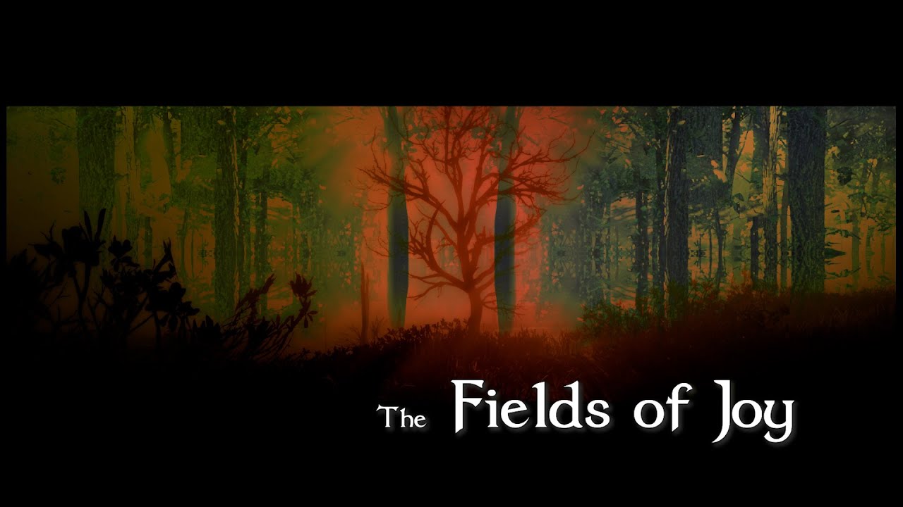 07 - Fields Of Joy - YouTube