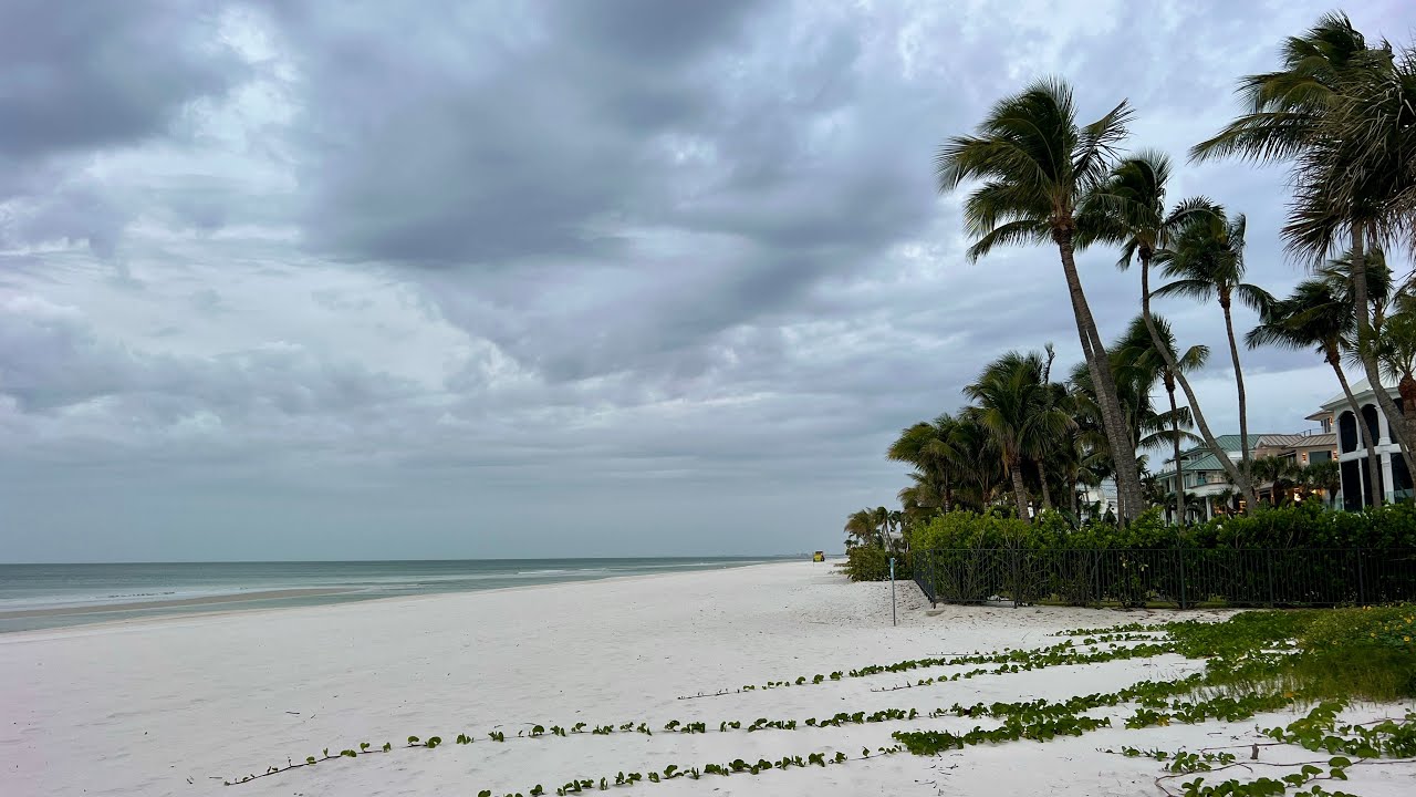 Robb’s Friday Morning Beach Walk in North Naples, FL (12/15/23) - YouTube