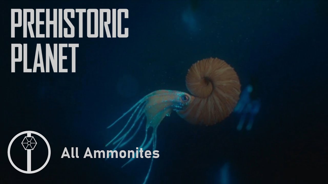 All Ammonites in Prehistoric Planet - YouTube