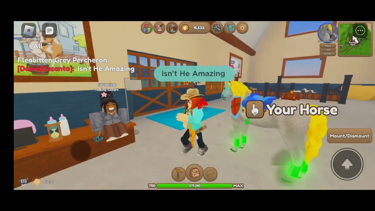 Bred My Fleabitten Grey Perch Today - YouTube